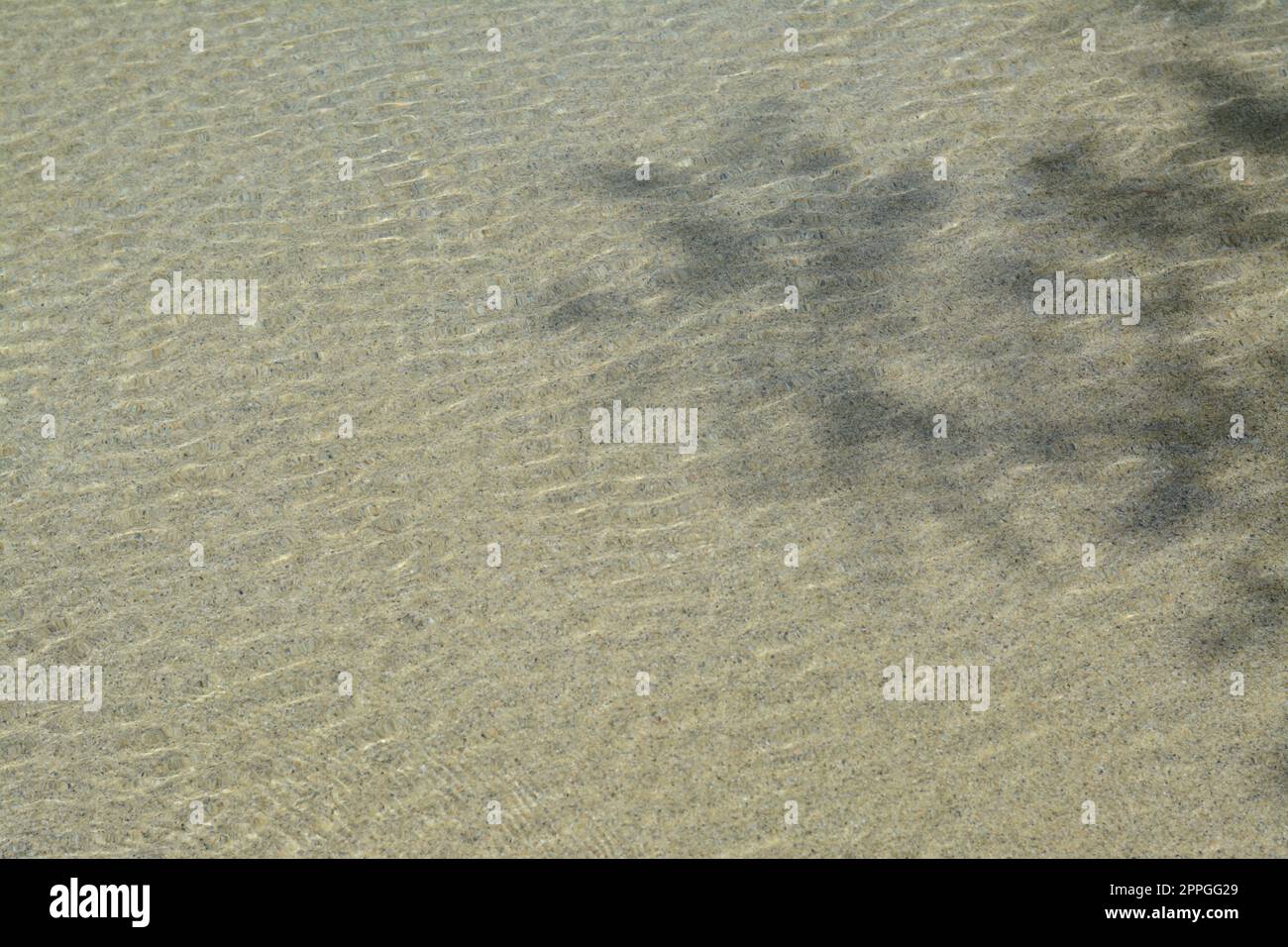 Calm clear water in swimming pool outdoors Stock Photo - Alamy