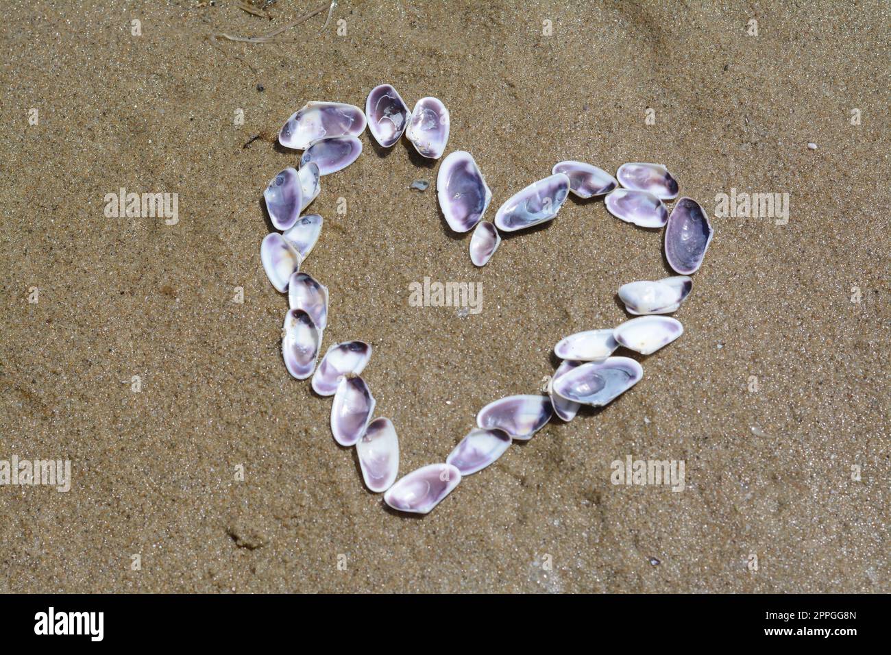 Heart made shells on beach hi-res stock photography and images - Alamy
