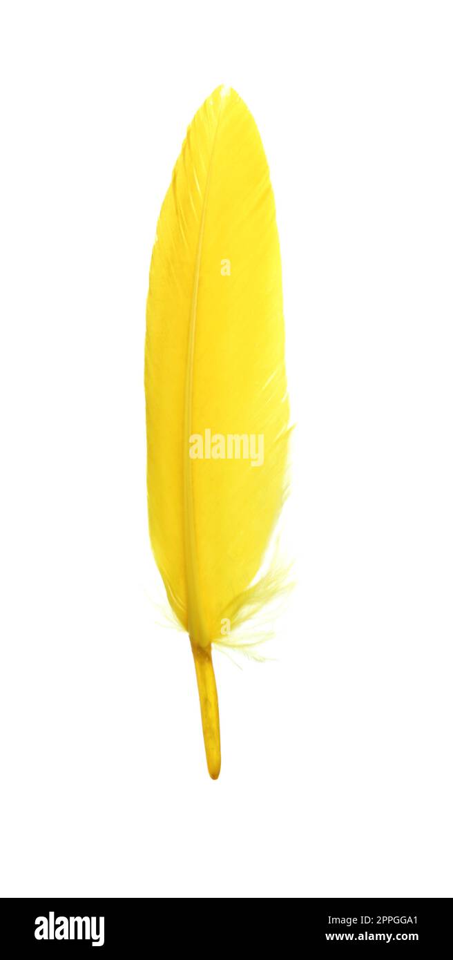 Fluffy beautiful yellow feather isolated on white Stock Photo - Alamy