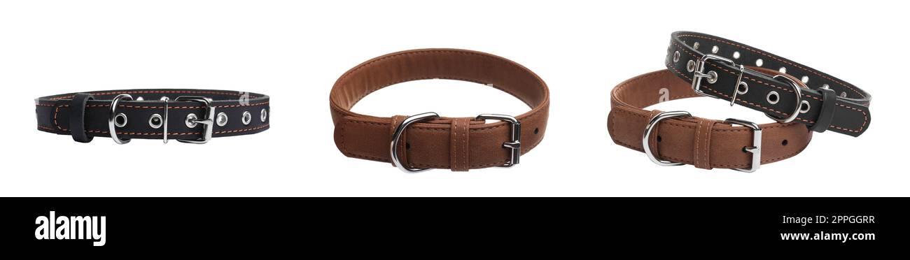 Set with different leather dog collars on white background. Banner ...
