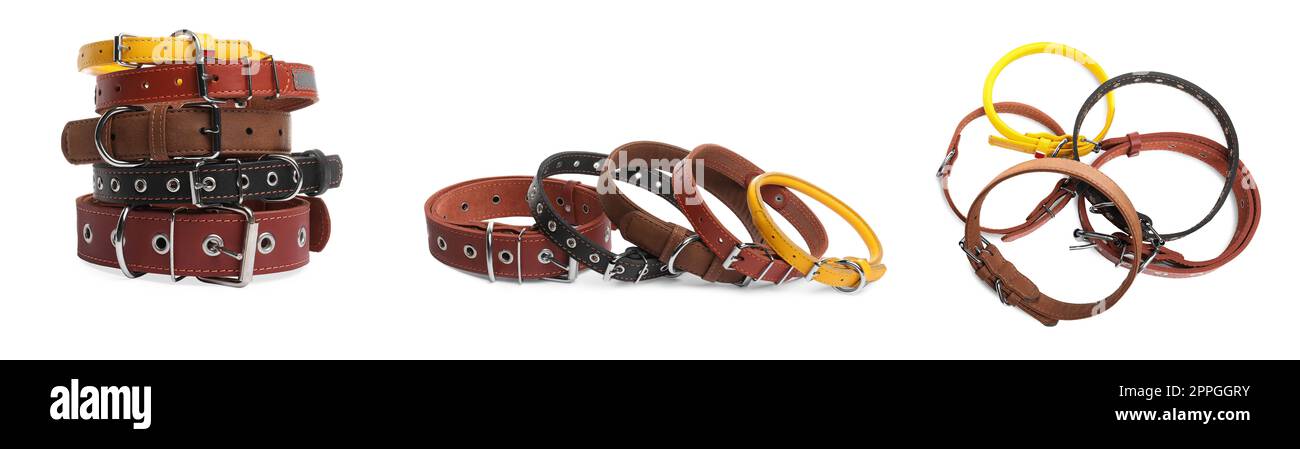 Set with different leather dog collars on white background. Banner ...