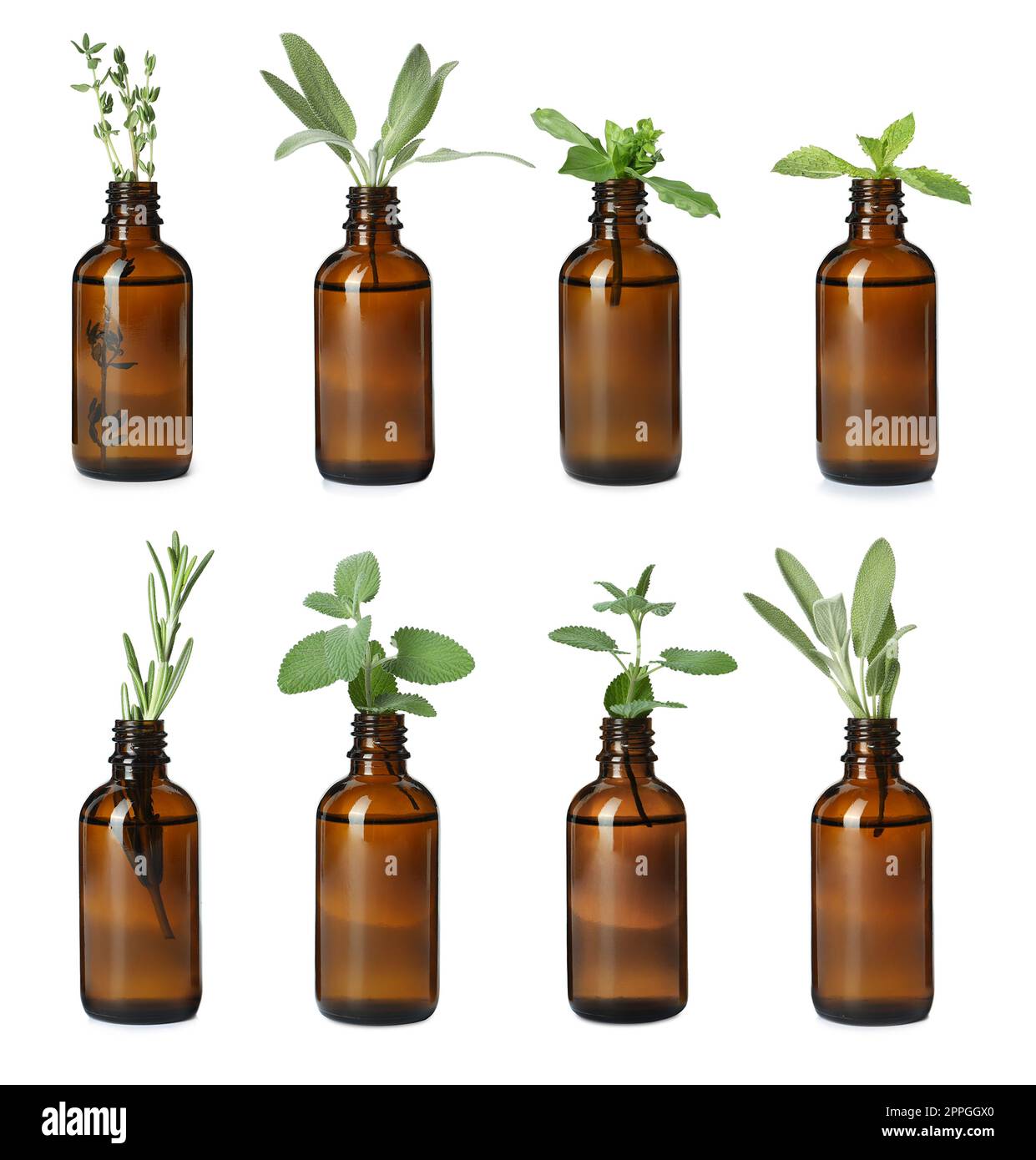 Set with bottles of different essential oils and leaves on white ...