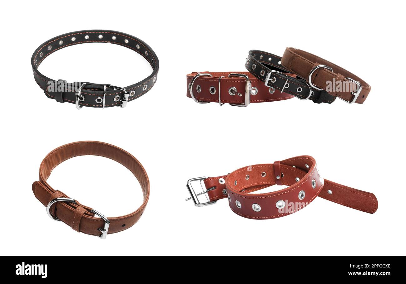 Set with different leather dog collars on white background Stock Photo ...