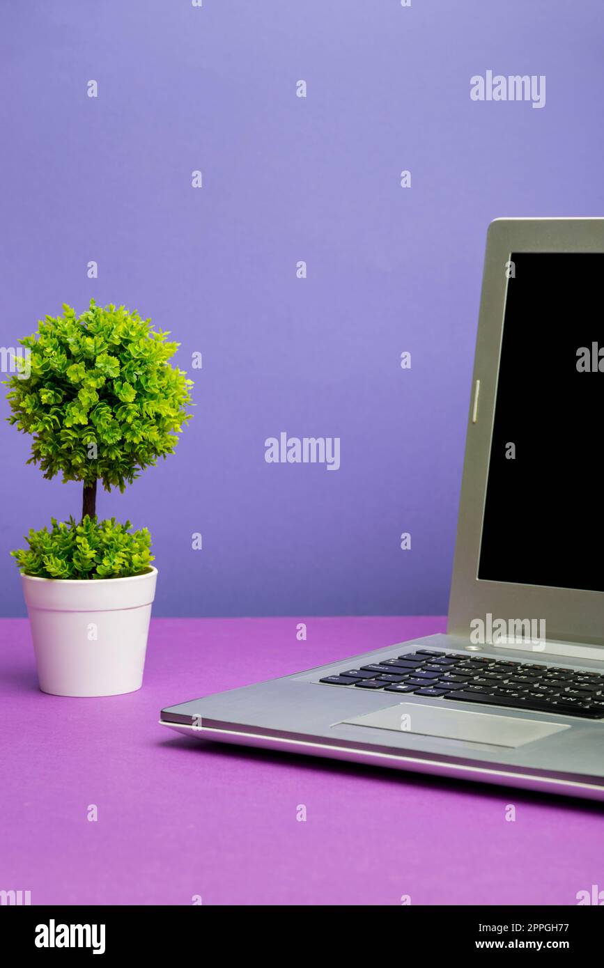 Colorful Office Supplies Bright Workplace Stuff Workshop Materials Work ...