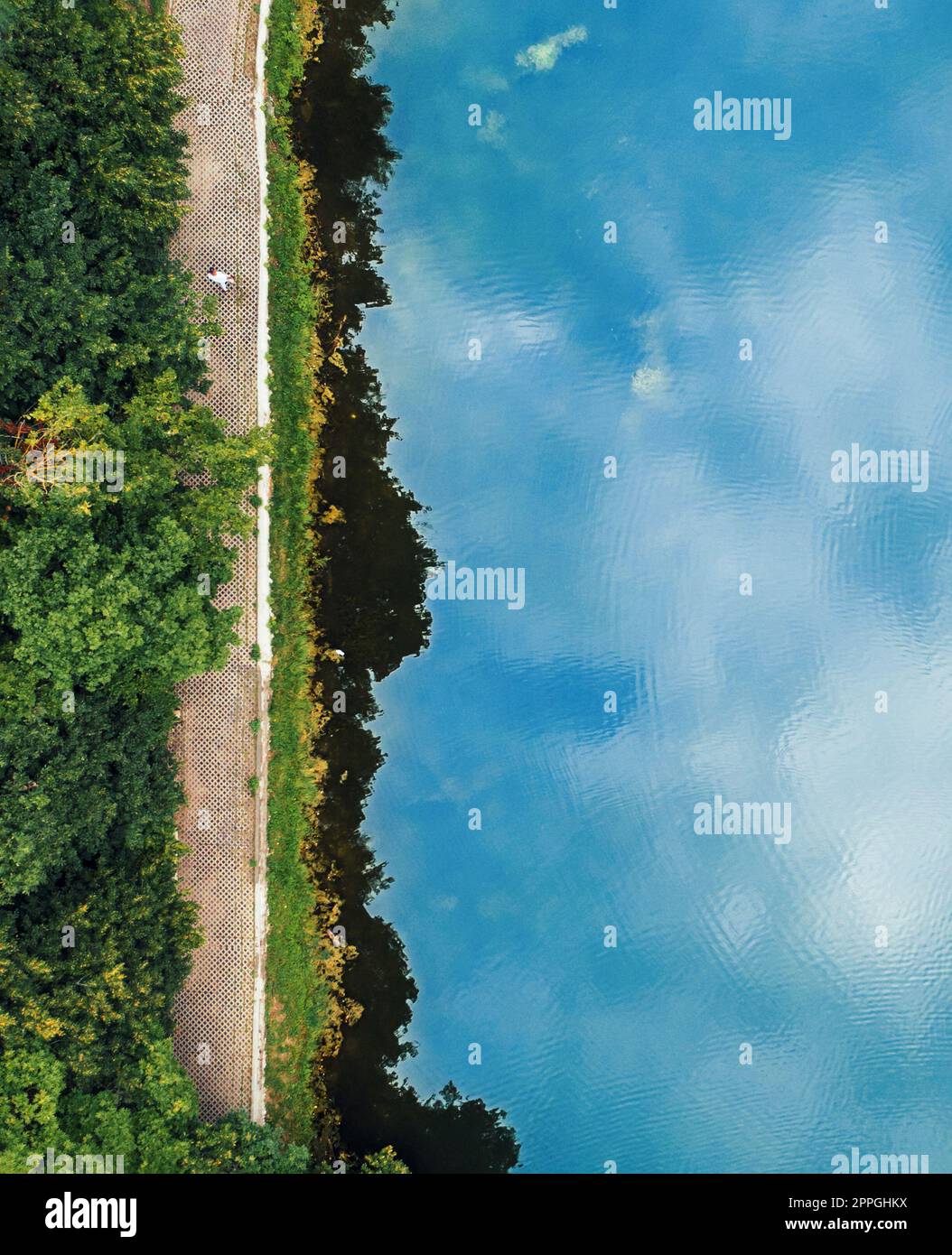 Green park and water, drone top view, vertical Stock Photo - Alamy