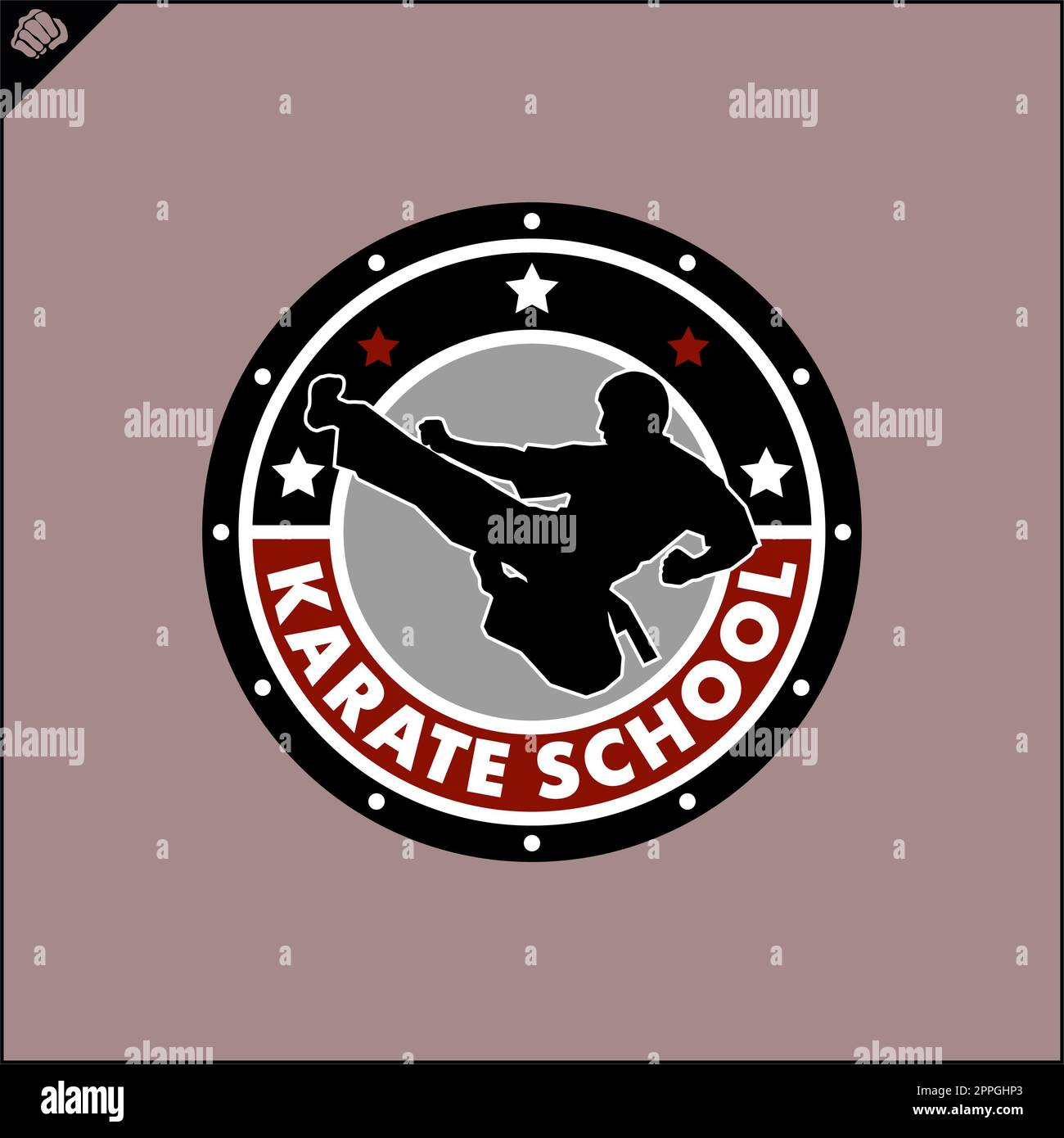 Karate woman kick hi-res stock photography and images - Alamy