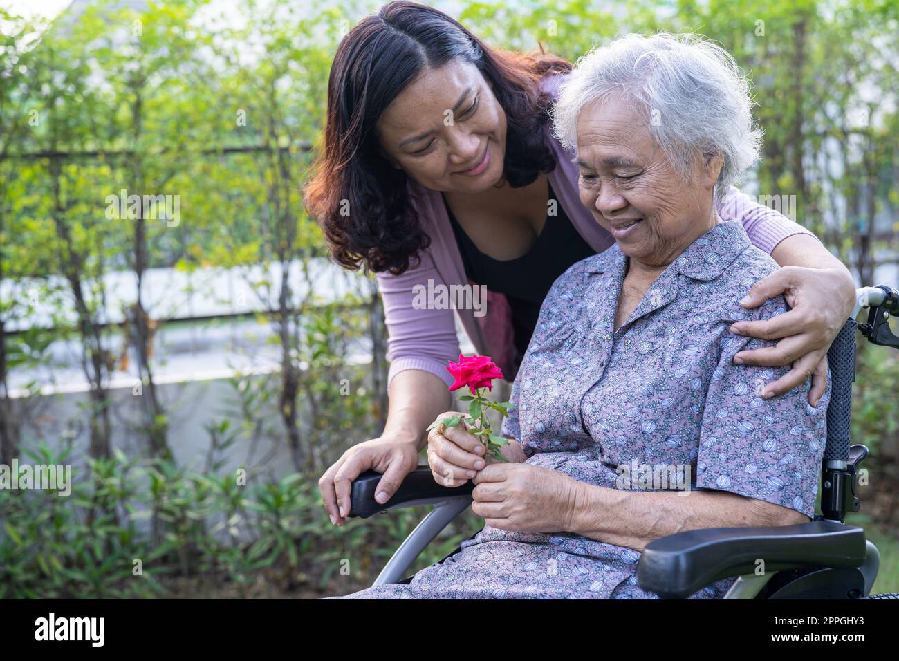 Caregiver daughter hug and help Asian senior or elderly old lady woman holding red rose on ...