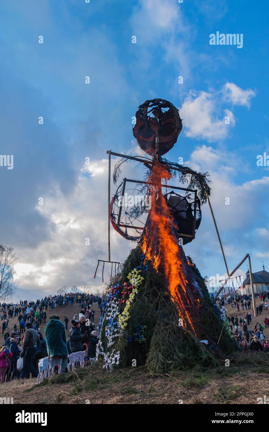 Mora tree hi-res stock photography and images - Alamy