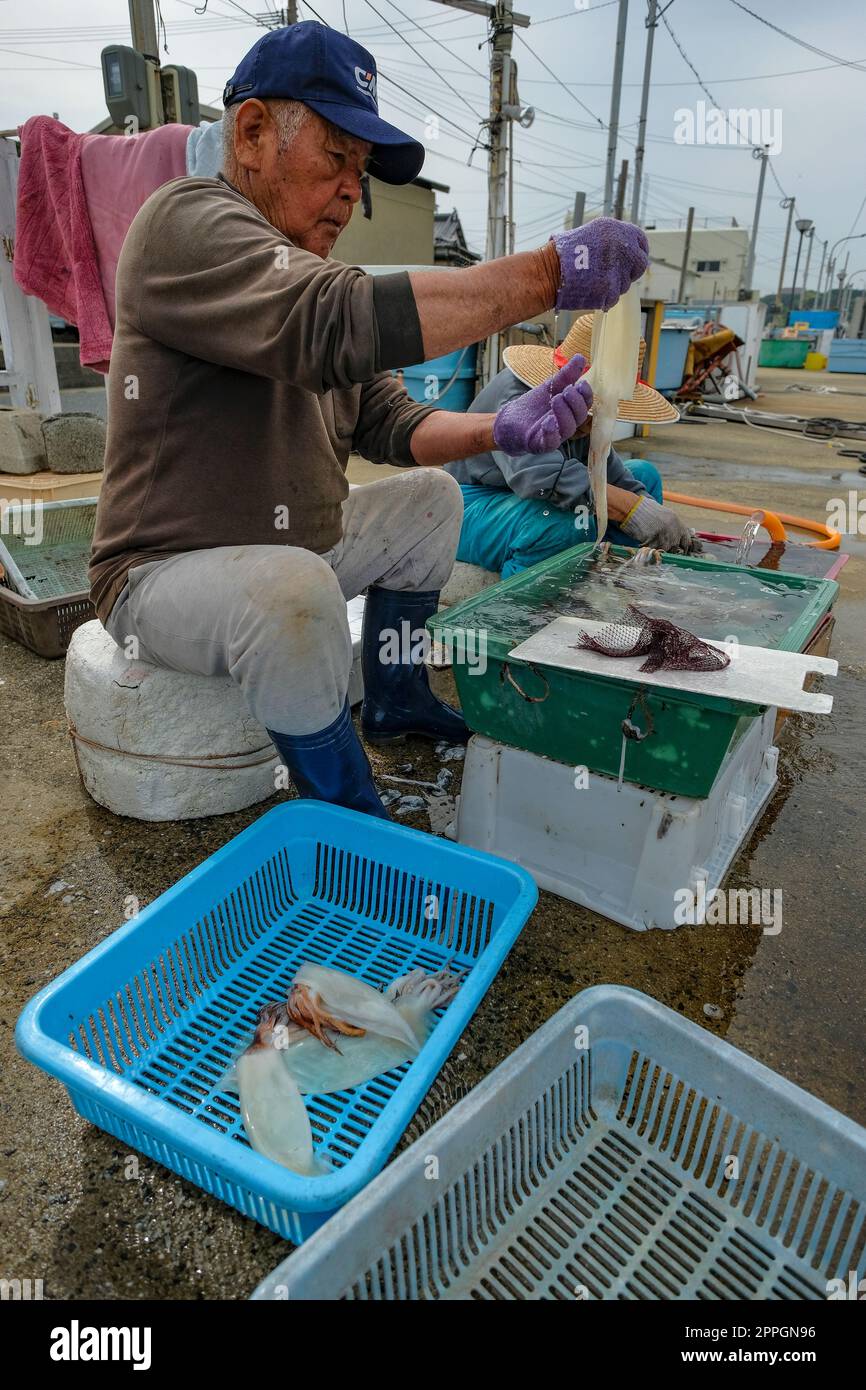 Yobuko, Japan - April 21, 2023: A couple cleaning squid to dry in the ...