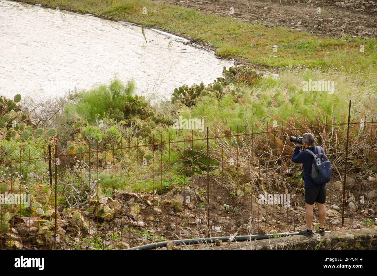 Photographing birds hi-res stock photography and images - Alamy