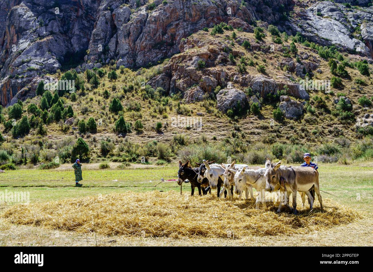 Boy farm hay hi-res stock photography and images - Alamy