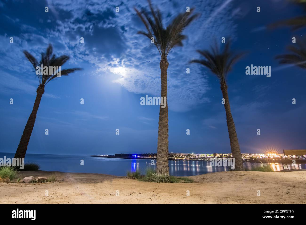 bright moon with clouds at the beach with palm trees in egypt Stock ...