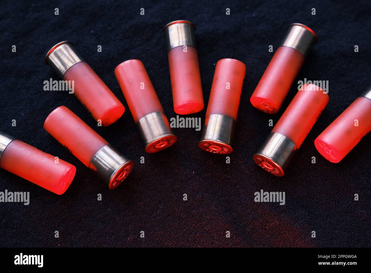 Shotgun shells on a black surface. Ammunition for 12 gauge smoothbore ...