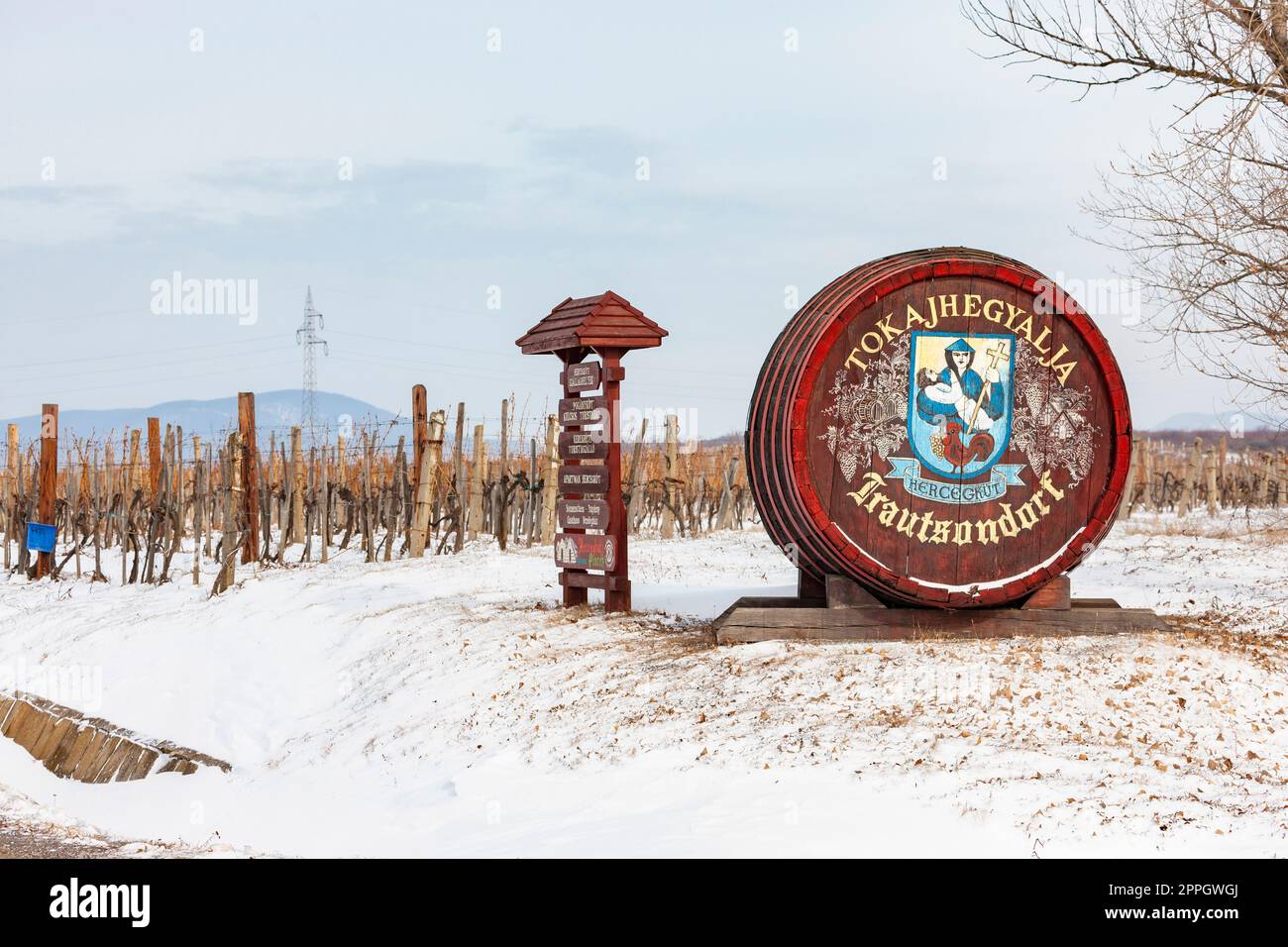 Tokaj wine region hi-res stock photography and images - Alamy