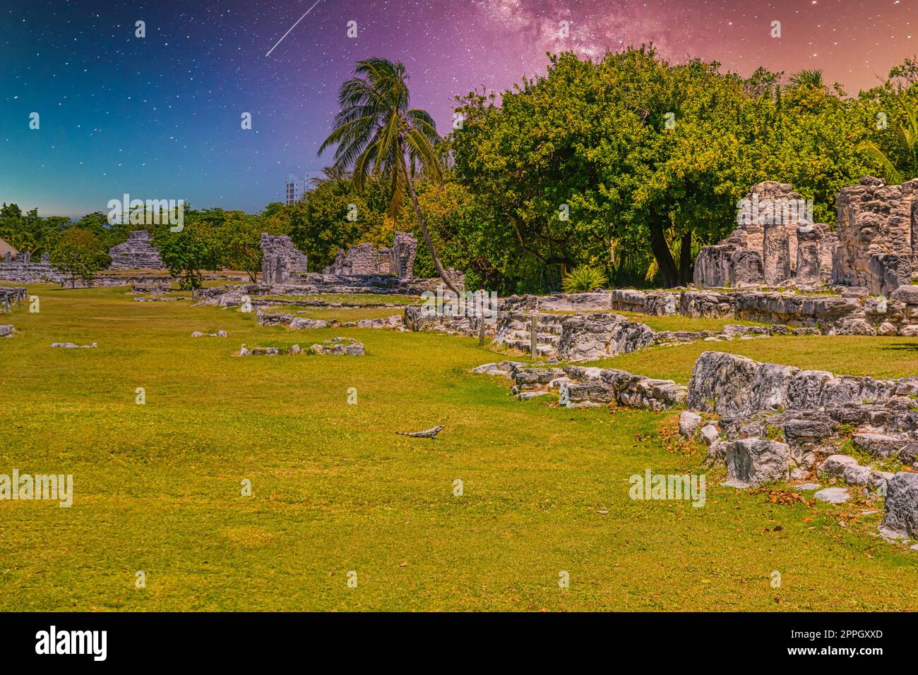 Iguana lizard in ancient ruins of Maya in El Rey Archaeological Zone ...