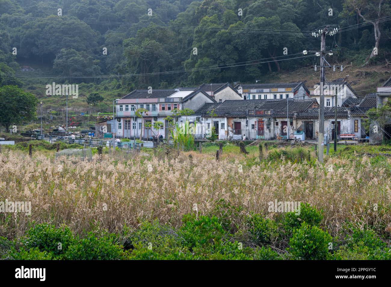Hong Kong 21 January 2022: Hong Kong old style house in So Lo Pun Stock ...