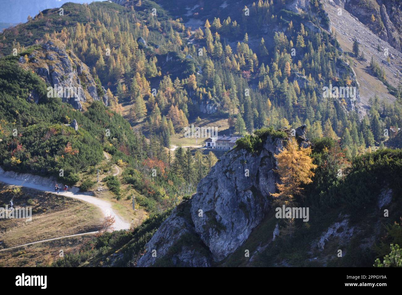 Small mountain pasture in the mountains around Berchtesgaden, near the ...