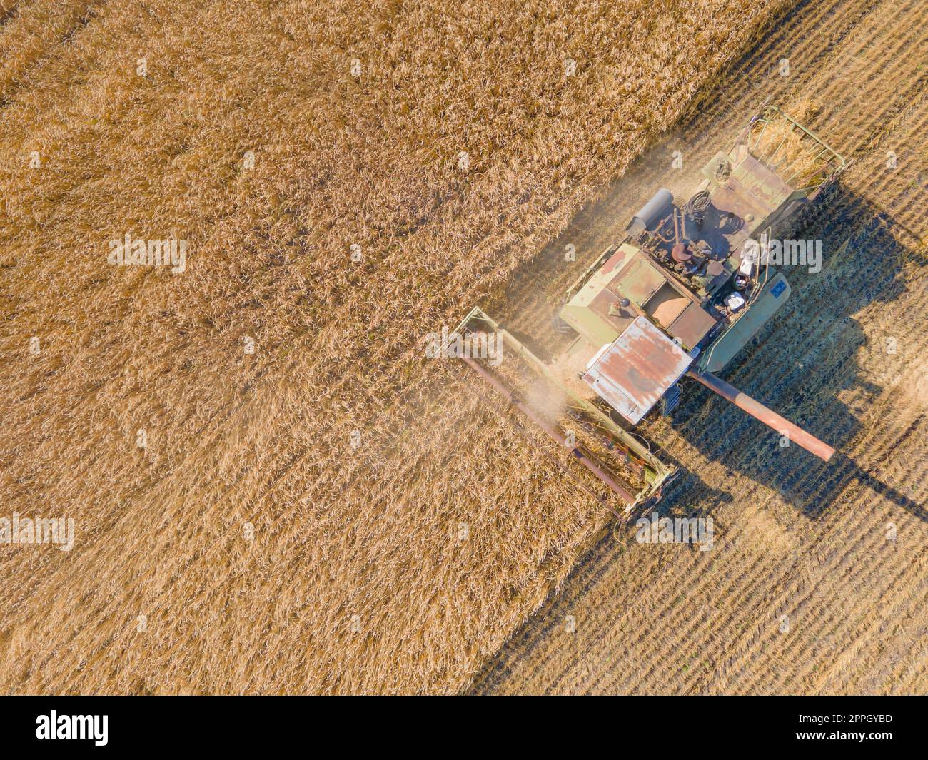 Harvest wheat grain and crop aerial view.Harvesting wheat,oats, barley ...