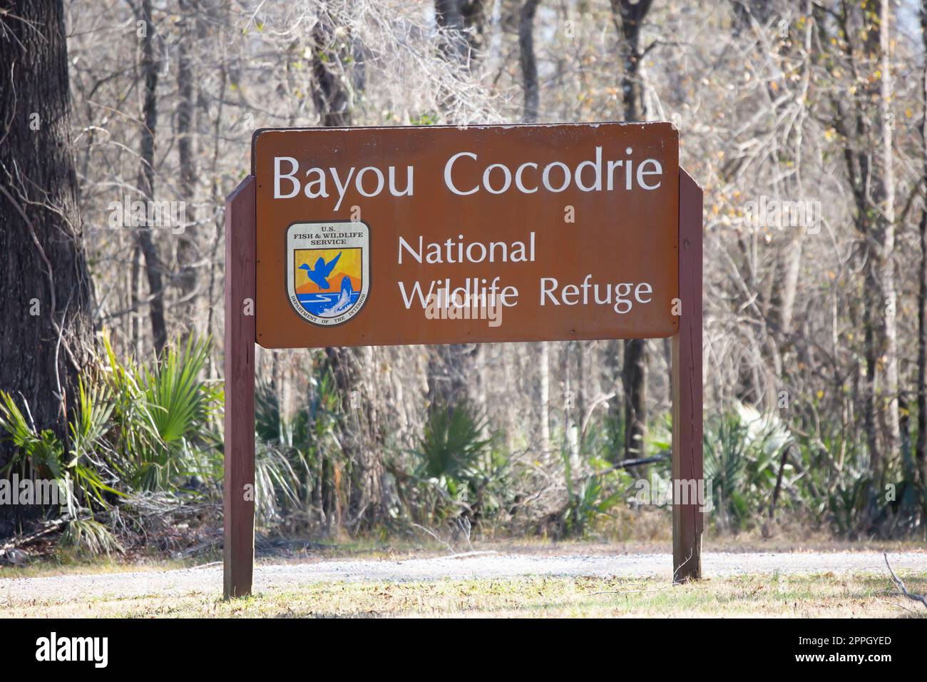 Bayou Cocodrie National Wildlife Refuge Stock Photo - Alamy