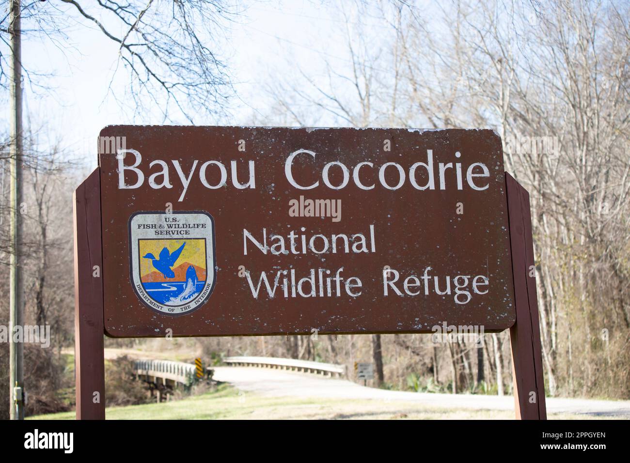 Bayou Cocodrie National Wildlife Refuge Stock Photo - Alamy