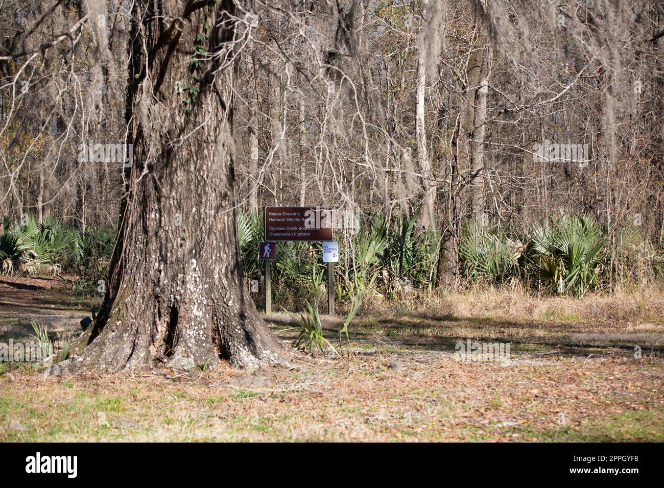 Directional Signs at the Bayou Cocodrie National Wildlife Refuge Stock ...