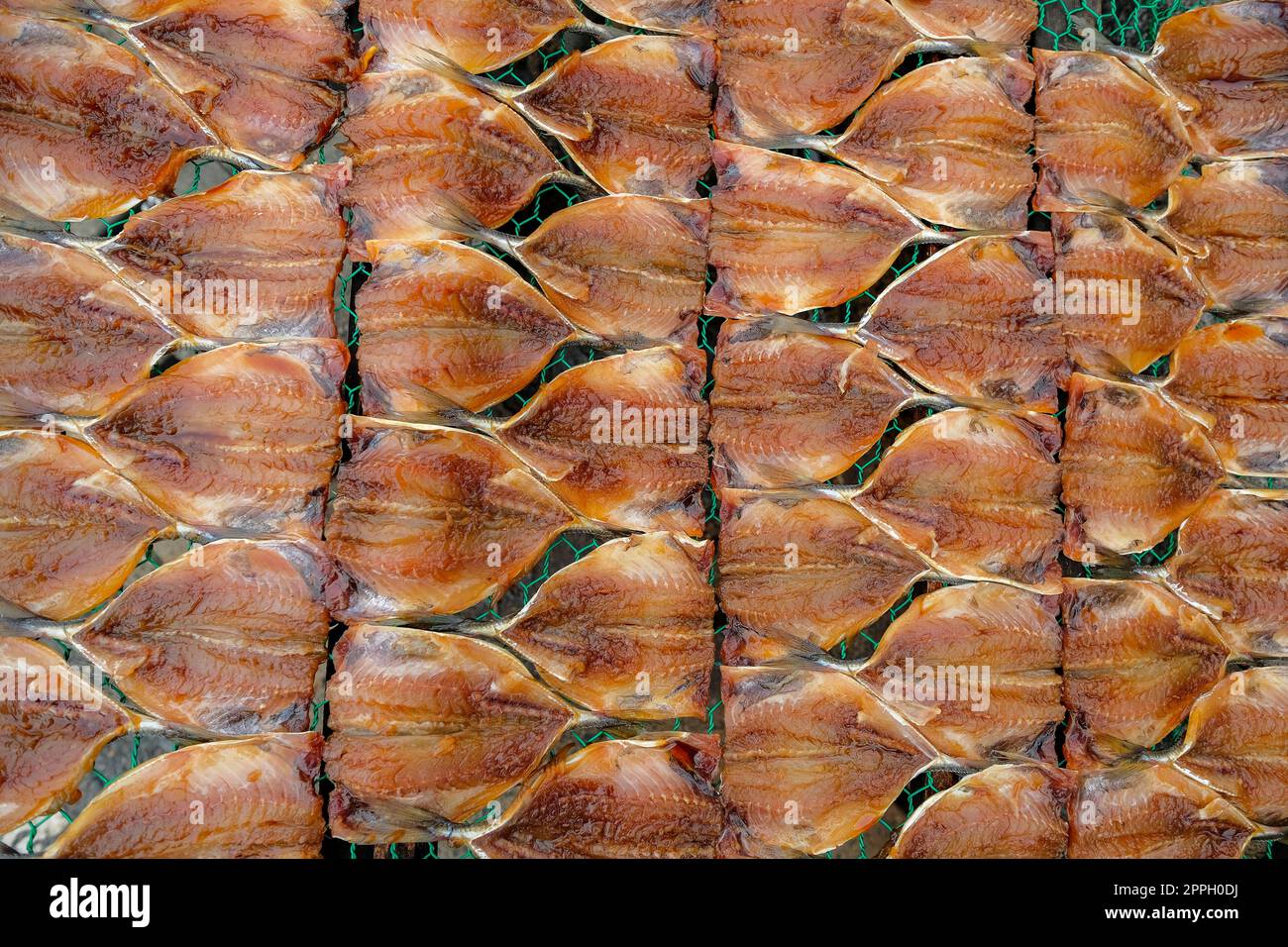 Fish drying in the sun at the Yobuko Morning Market in Japan Stock ...