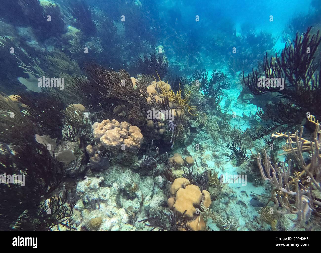 Honeymoon beach and st thomas hi-res stock photography and images - Alamy