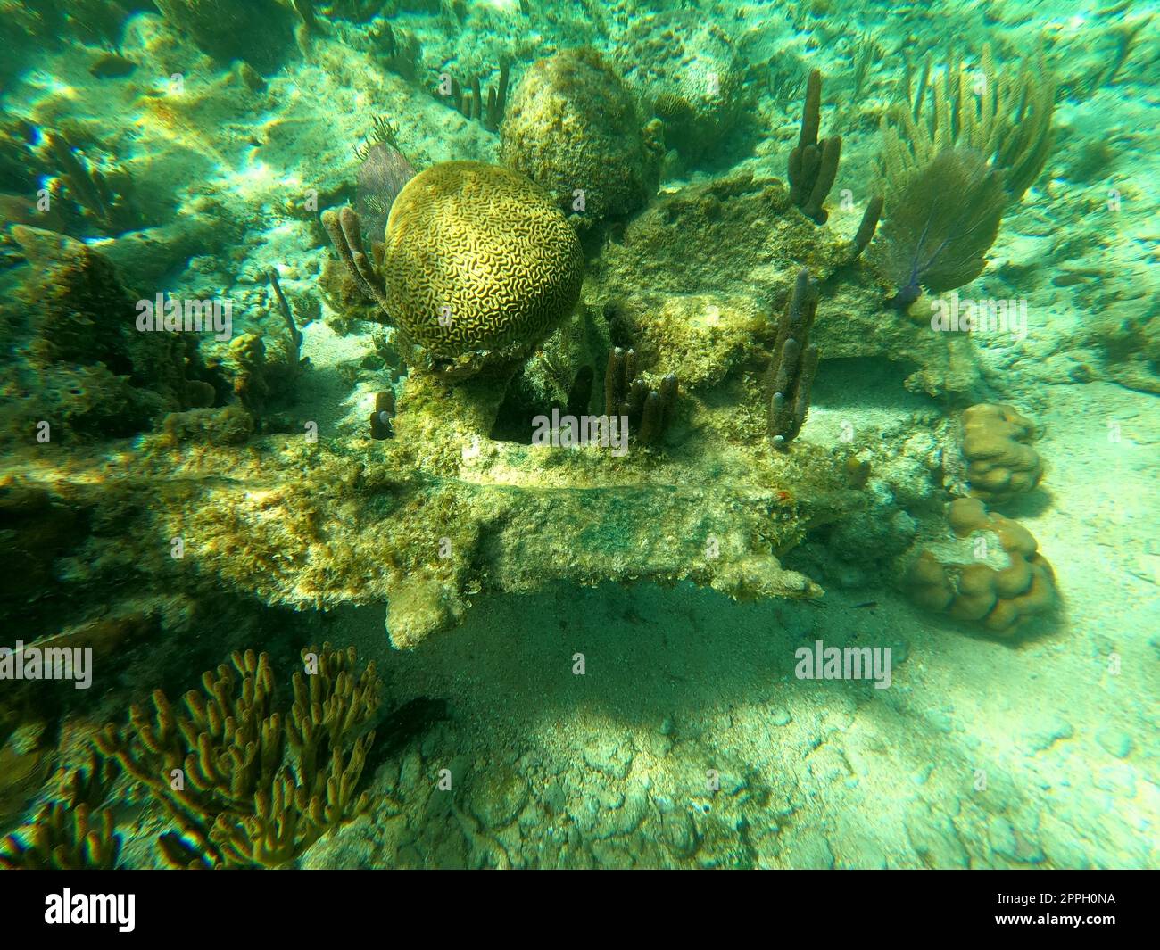 Sunken ship under the sea. Beautifiul underwater colorful coral reef at ...
