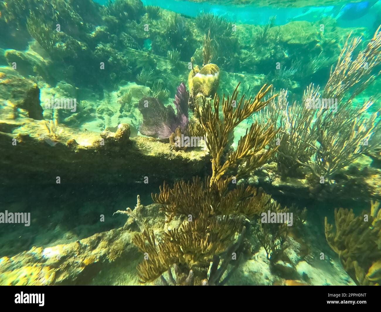 Sunken ship under the sea. Beautifiul underwater colorful coral reef at ...
