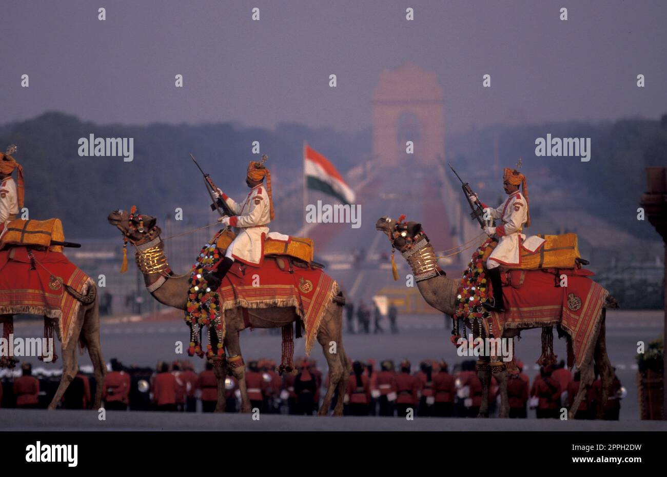 a view with soldiers on a camel a the Parade at the Republic Day on ...