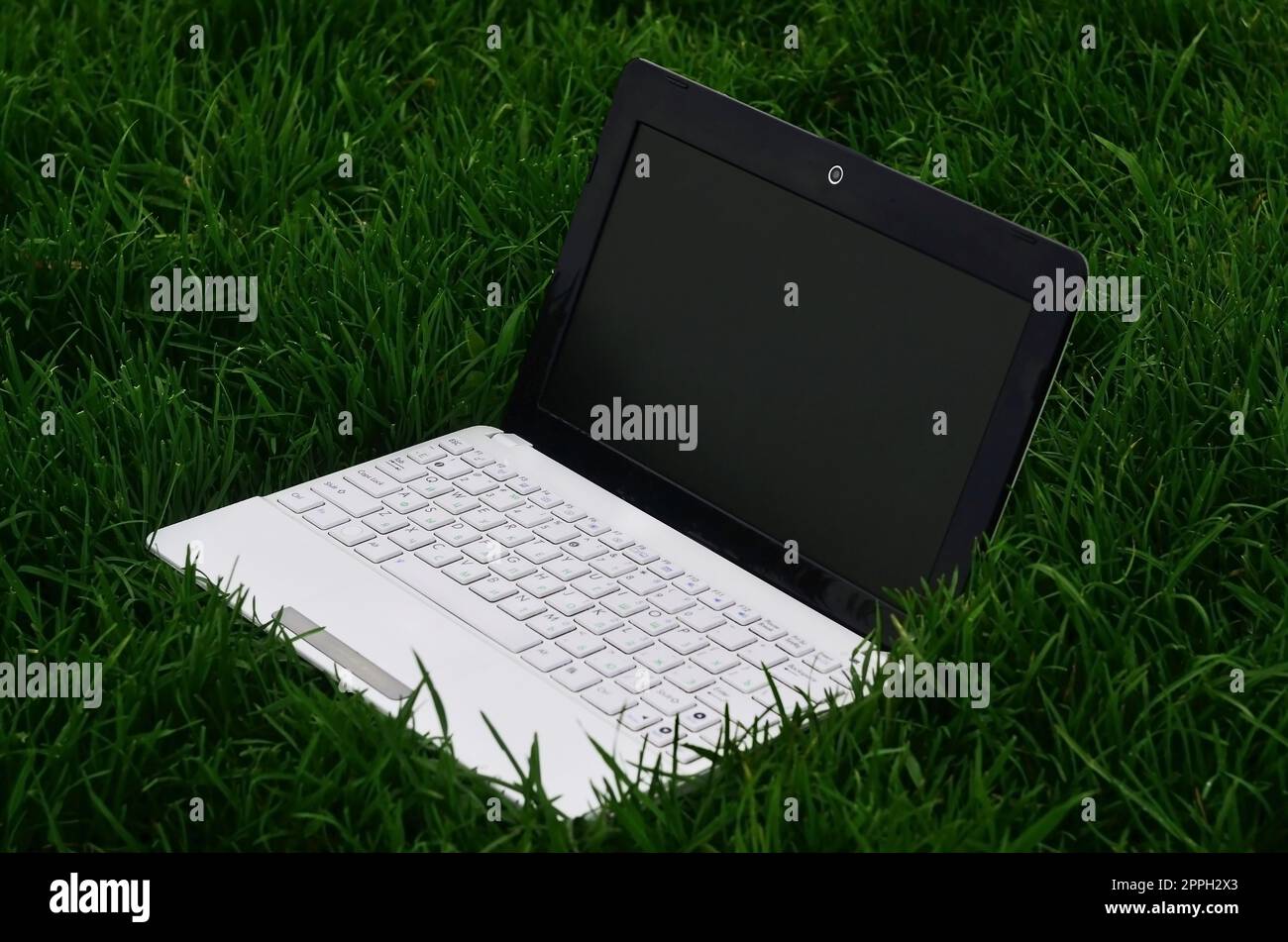 Formal green space hi-res stock photography and images - Alamy