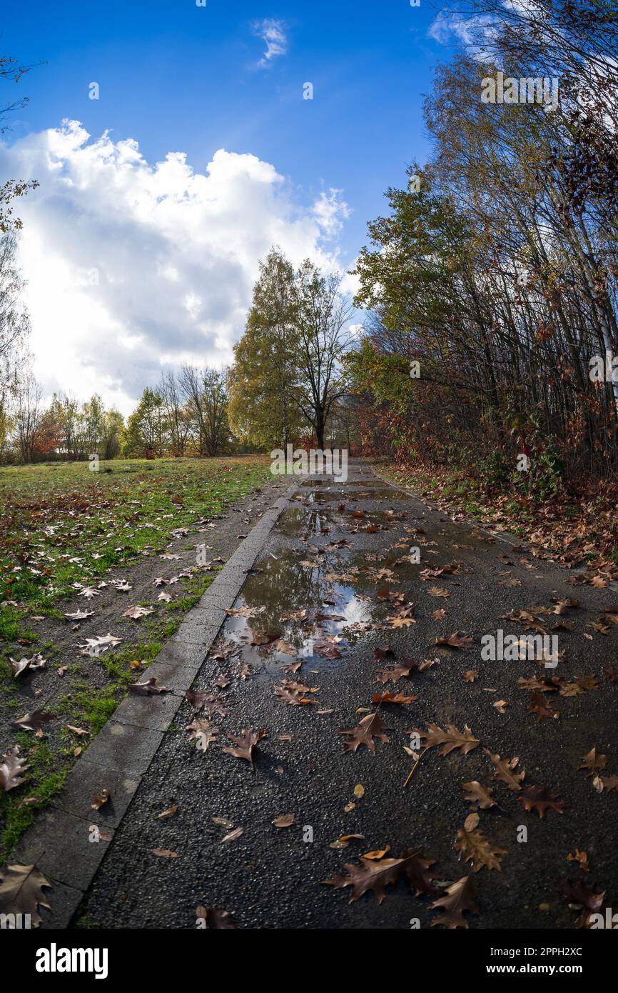 Fall sunny trails hi-res stock photography and images - Alamy
