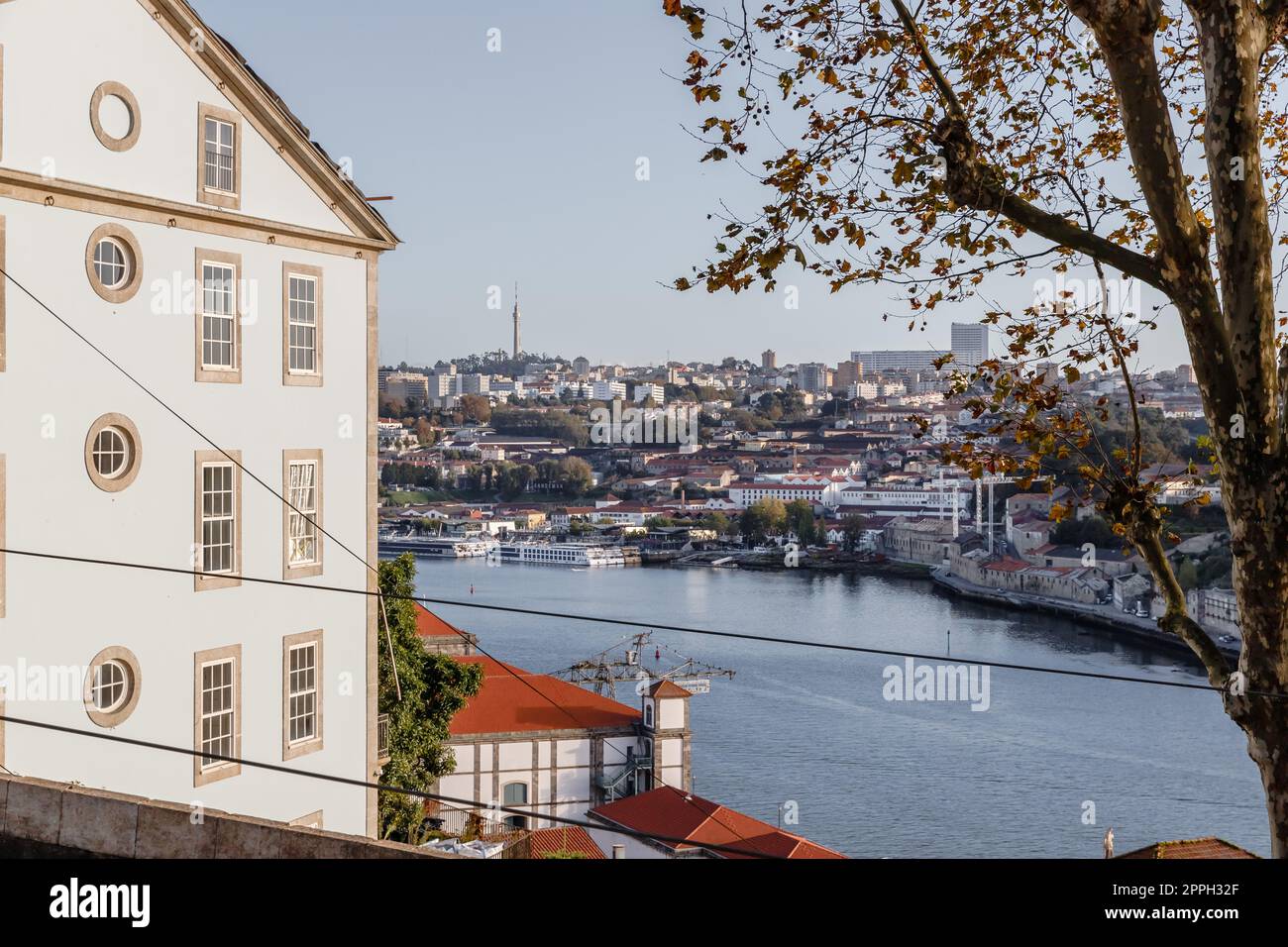 Oporto ribeira typical houses hi-res stock photography and images - Alamy