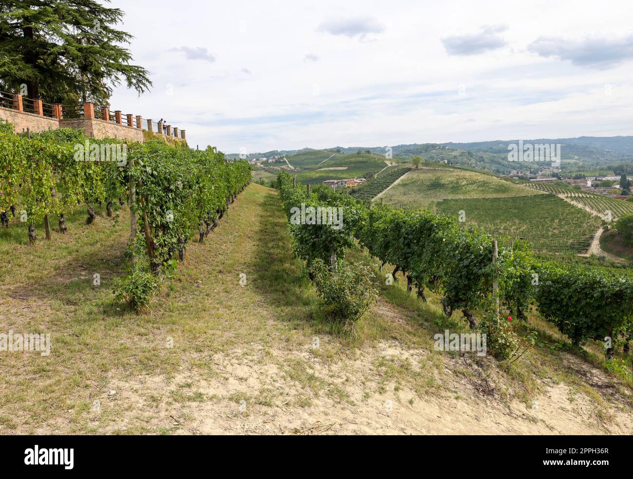 Panorama piedmont vineyards hi-res stock photography and images - Alamy