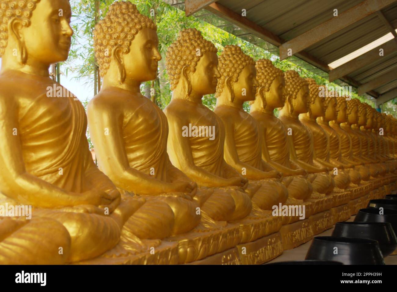 Golden statues of sitting Buddhas at a temple in Thailand Stock Photo ...