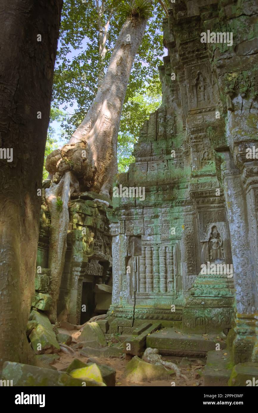 Huge gate architecture hi-res stock photography and images - Alamy