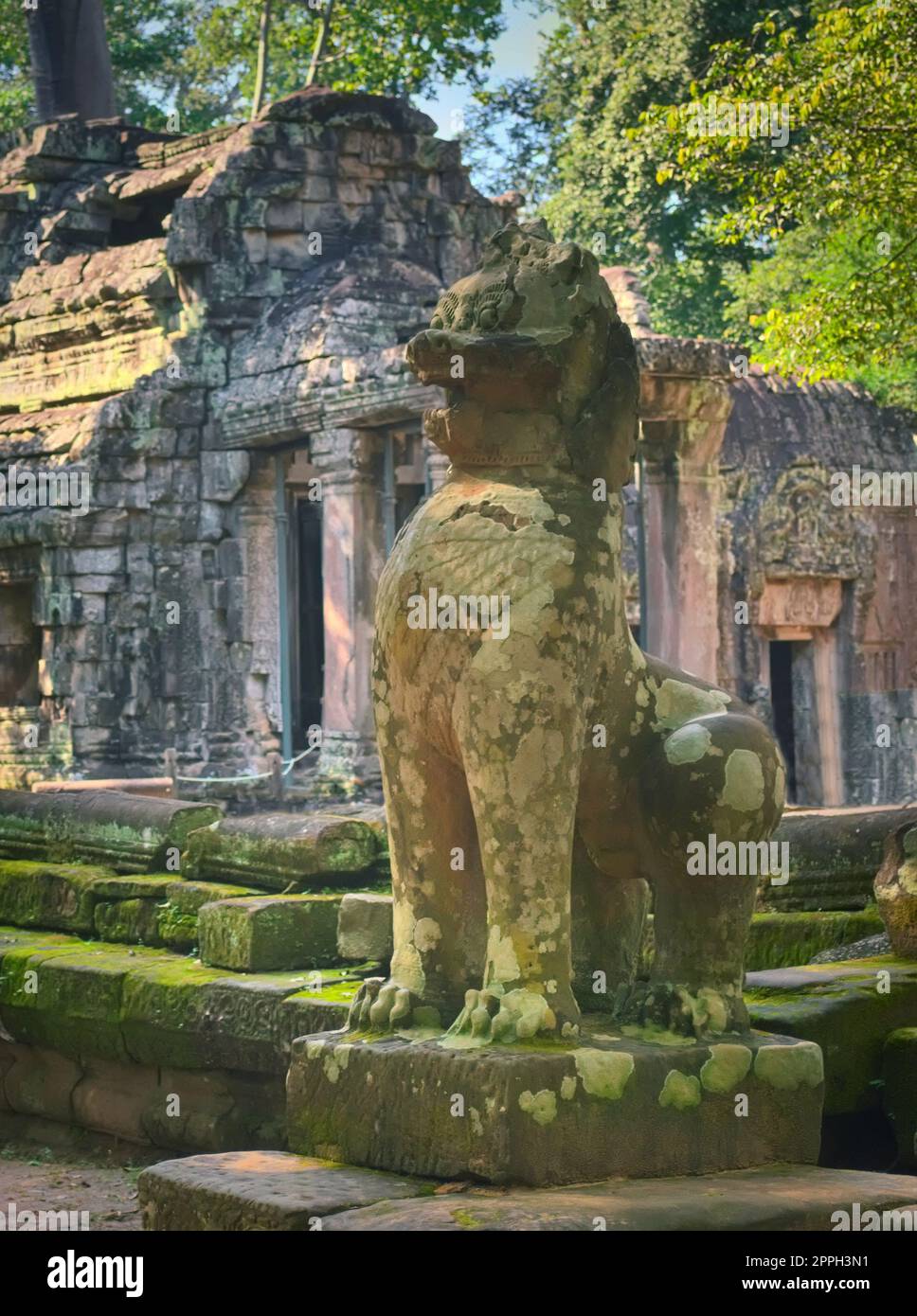 Ancient guardian lion statue at Ta Prohm temple ruins, located in ...