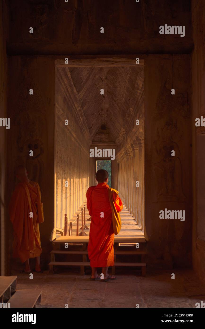 Buddhist monk at Angkor Wat, wearing traditional saffron colored robes ...
