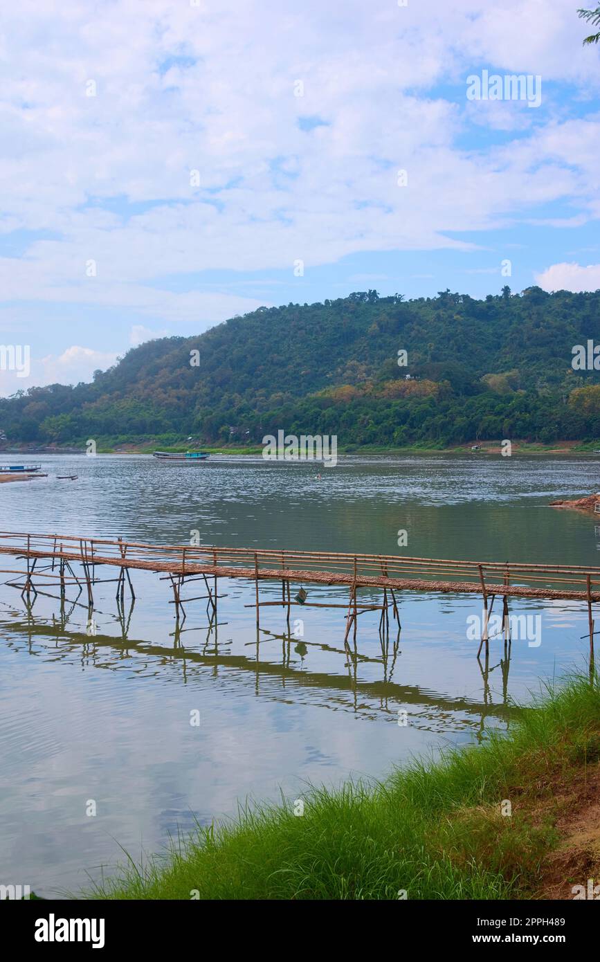 Bamboo Bridge Over Nam Khan River In The Confluence With Mekong River