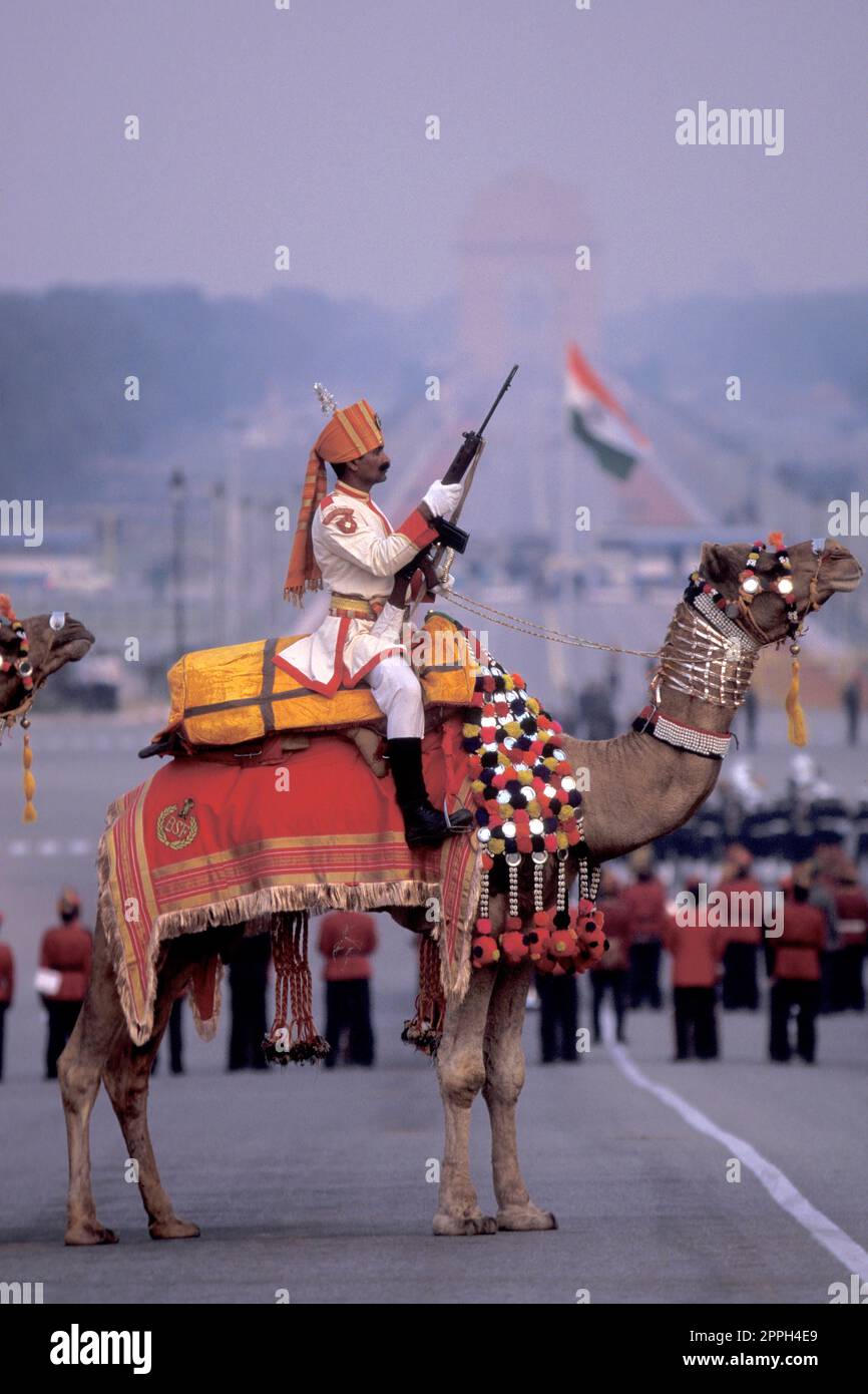 a view with soldiers on a camel a the Parade at the Republic Day on ...