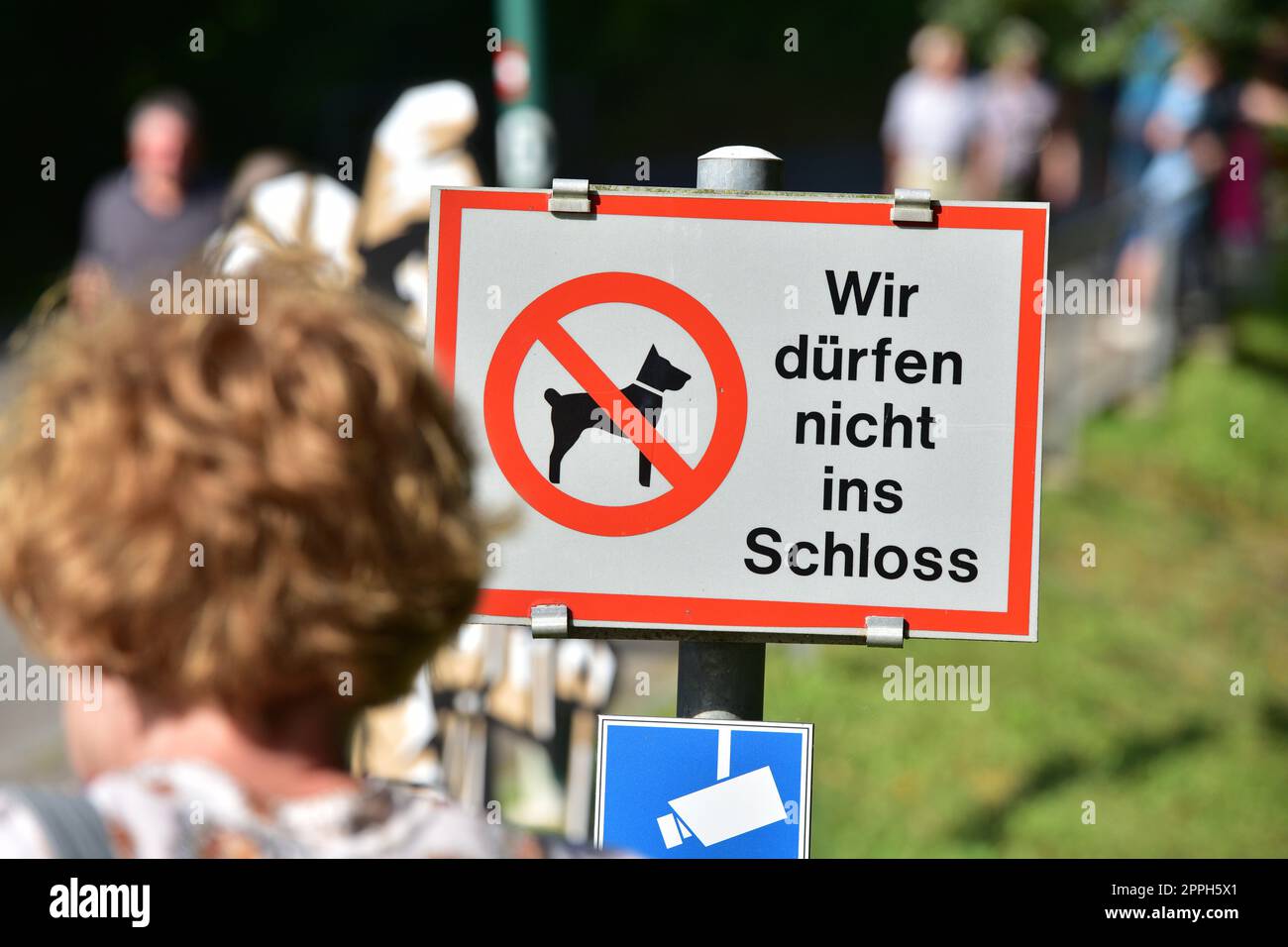 Sign Dog ban Stock Photo - Alamy