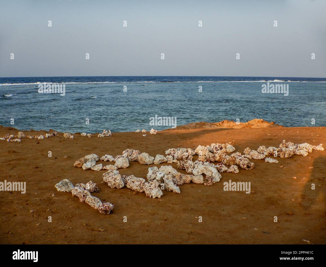 coral stones at the beach in form from a texture Stock Photo - Alamy