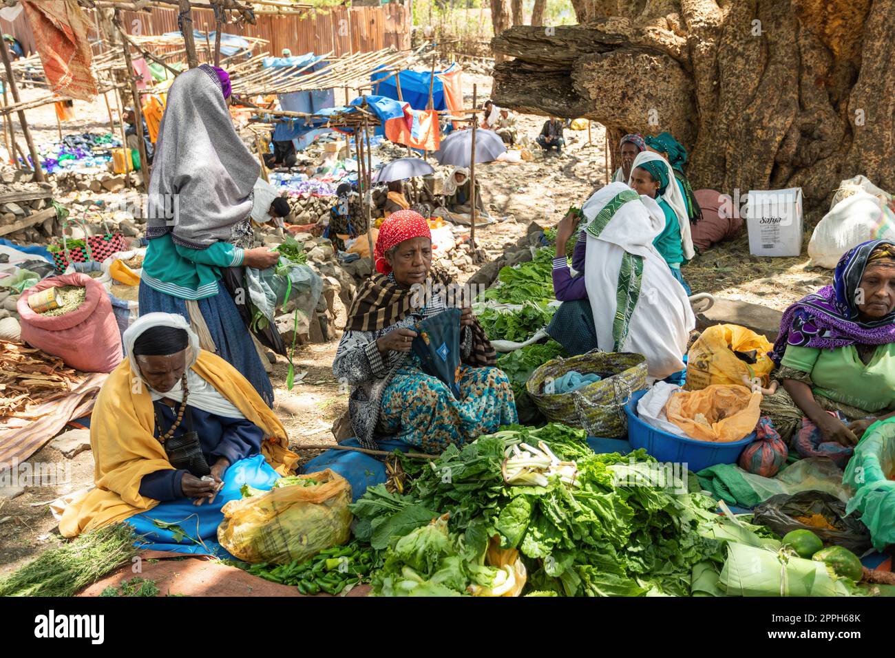 Ethiopian Market