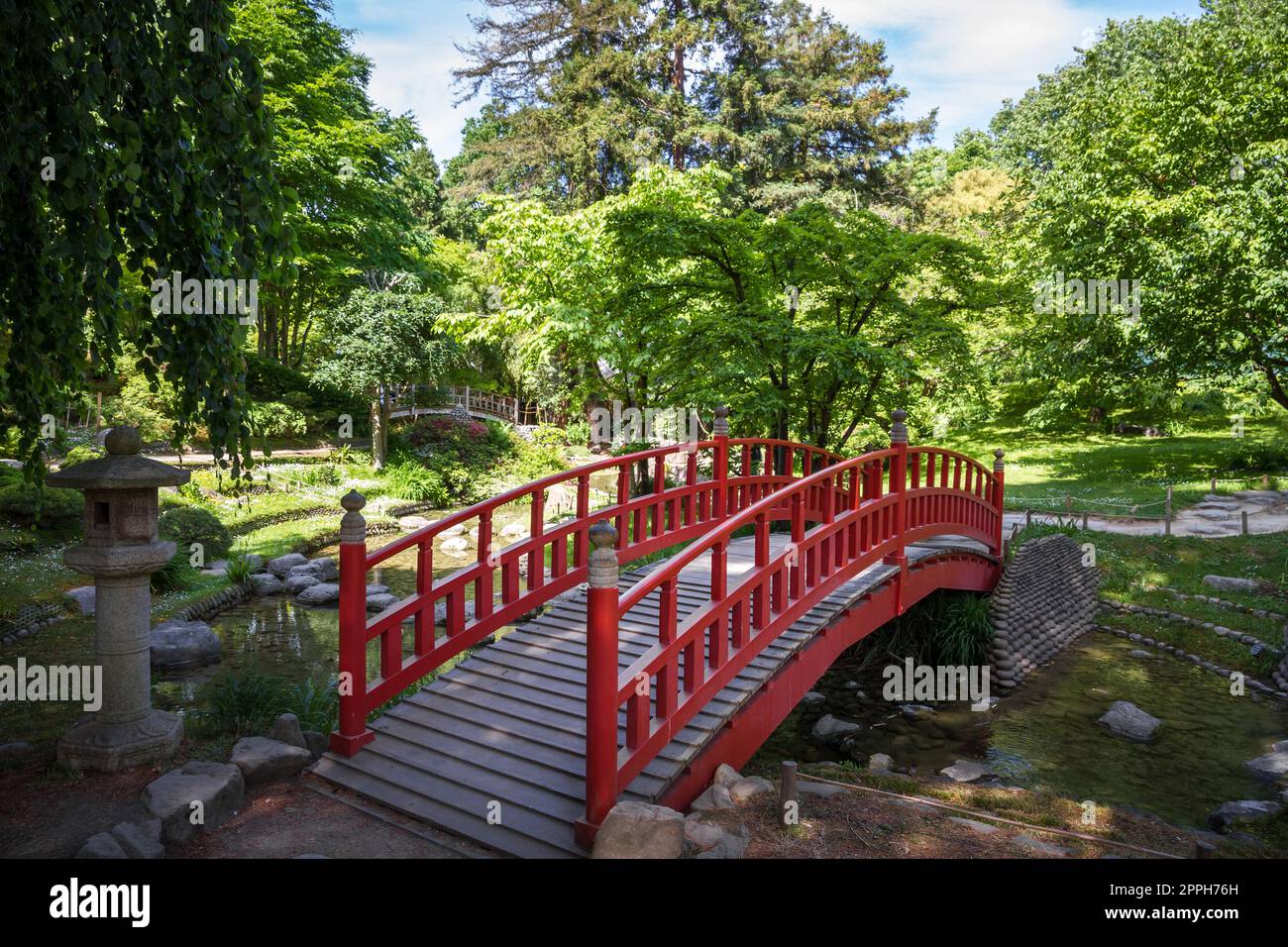 Traditional red wooden bridge on a japanese garden pond Stock Photo - Alamy