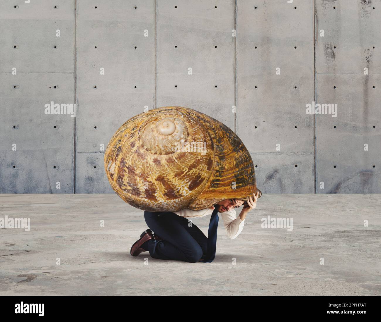 Scared snail hi-res stock photography and images - Alamy