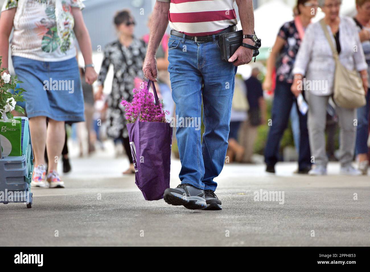 Fair layout hi-res stock photography and images - Alamy