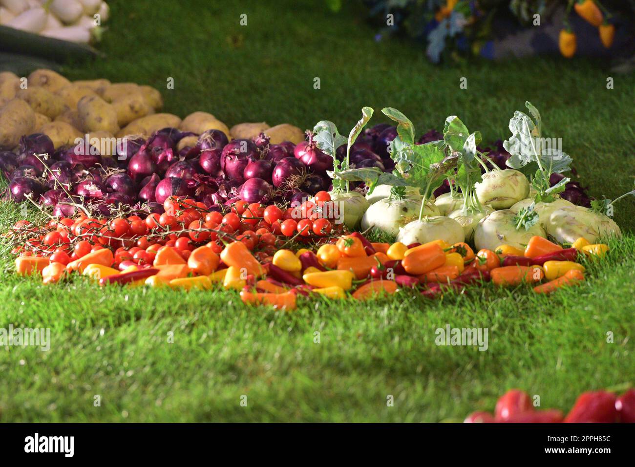 Decoration with different types of vegetables Stock Photo - Alamy
