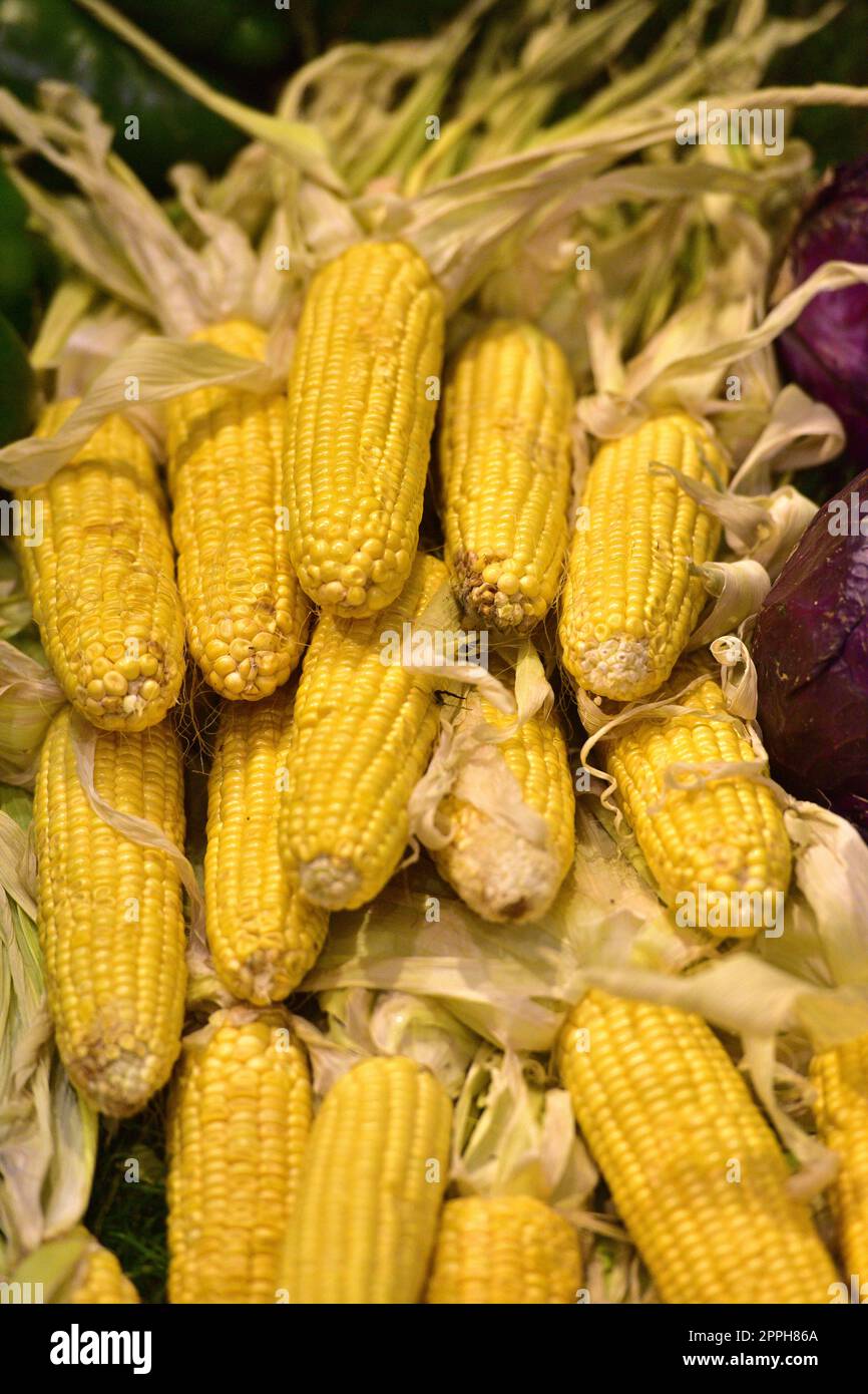 Decoration with different types of vegetables Stock Photo - Alamy