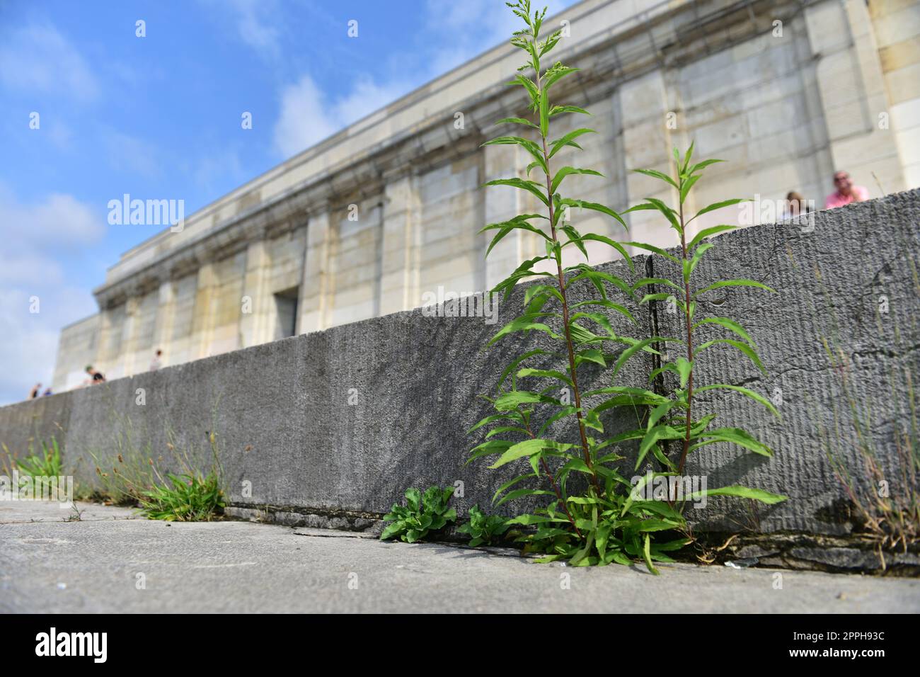 Former Nazi Party Rally Grounds in Nuremberg Stock Photo - Alamy