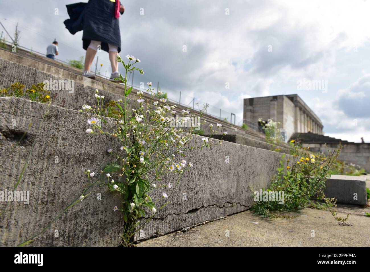 Former Nazi Party Rally Grounds in Nuremberg Stock Photo - Alamy